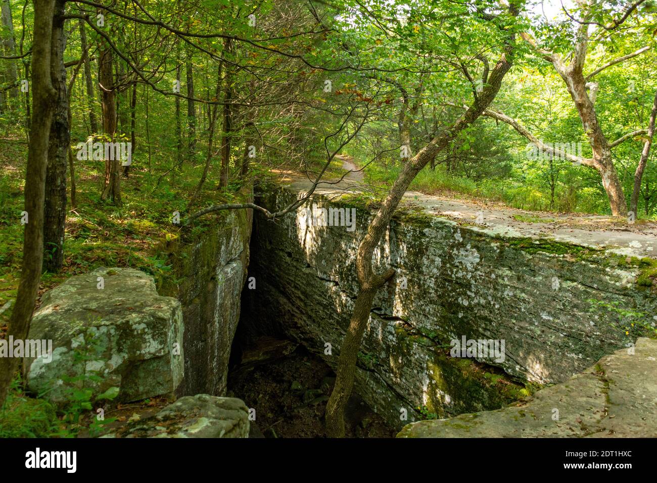 Natural stone bridge on the hiking trail at Bell Smith Springs, Shawnee ...