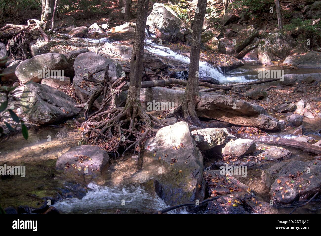 Beautiful River At The Base Of Cucumber Falls In Ohiopyle State Park ...
