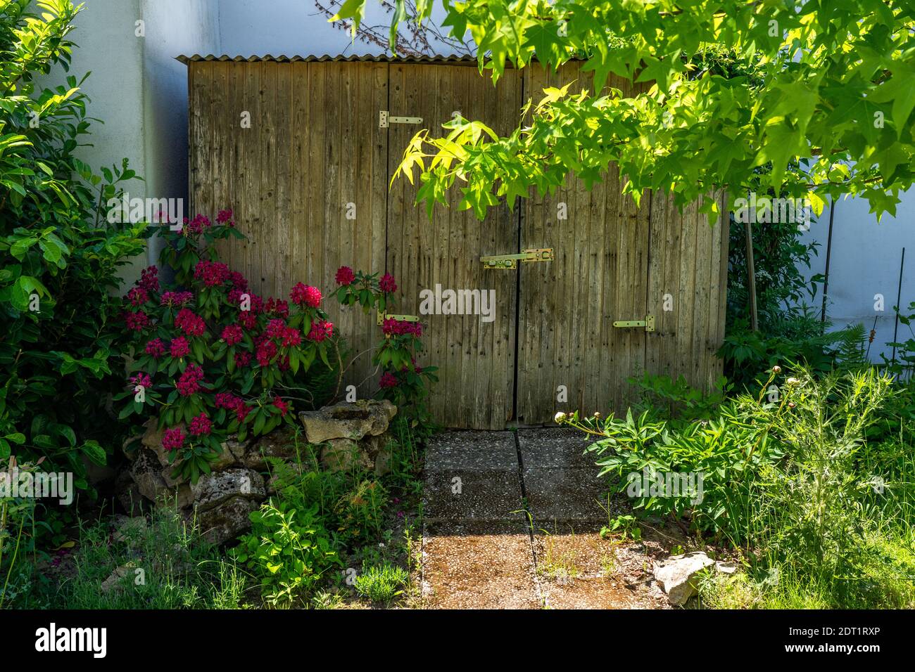 old wooden shed in the sun with flowering plants and trees in the ...