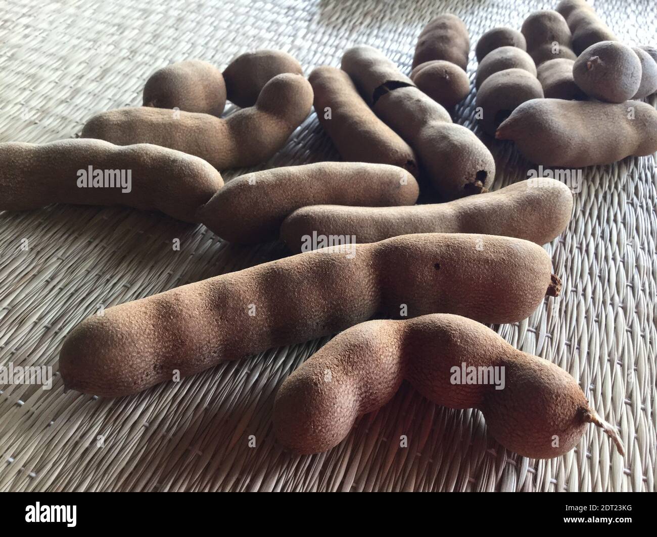 Tamarinds group hi-res stock photography and images - Alamy