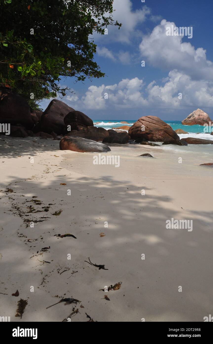 Exotic beach with palm trees in praslin island, seychelles Stock Photo ...