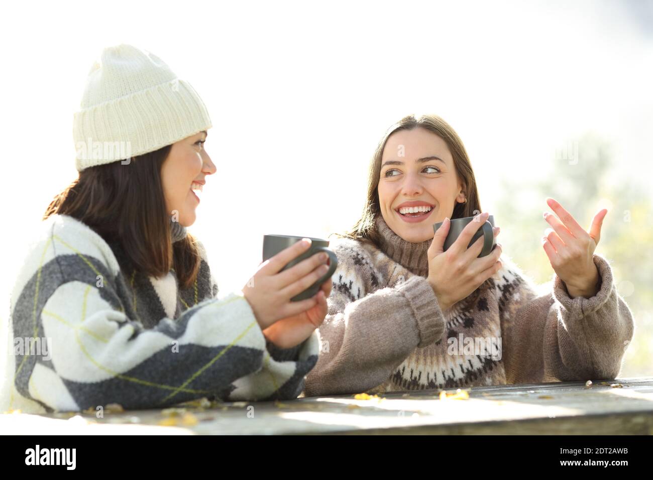 Two friends talking and laughing drinking coffee sitting in the morning ...