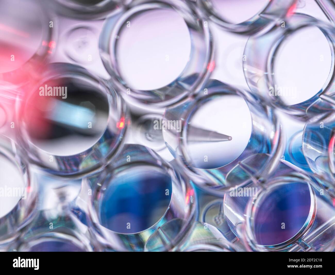 Scientist pipetting a sample into a multi well plate during an ...
