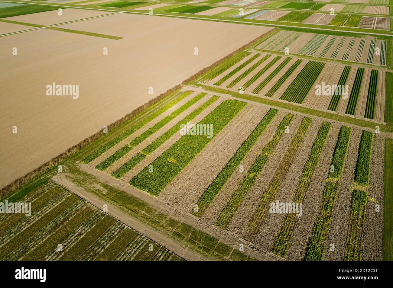 Strip cultivation hi-res stock photography and images - Alamy
