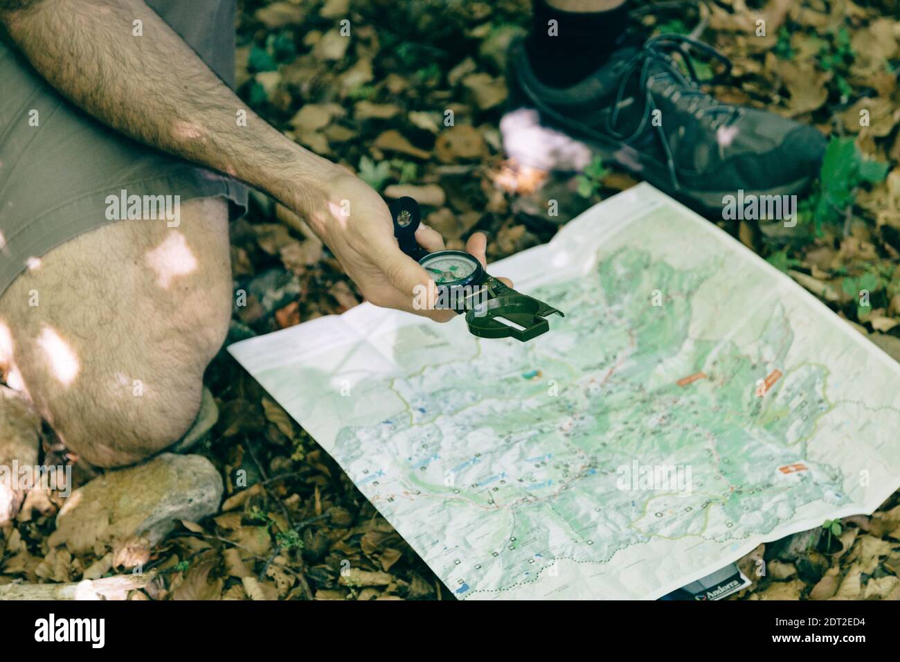 Hiker locating a path in the forest with a compass and a map Stock ...