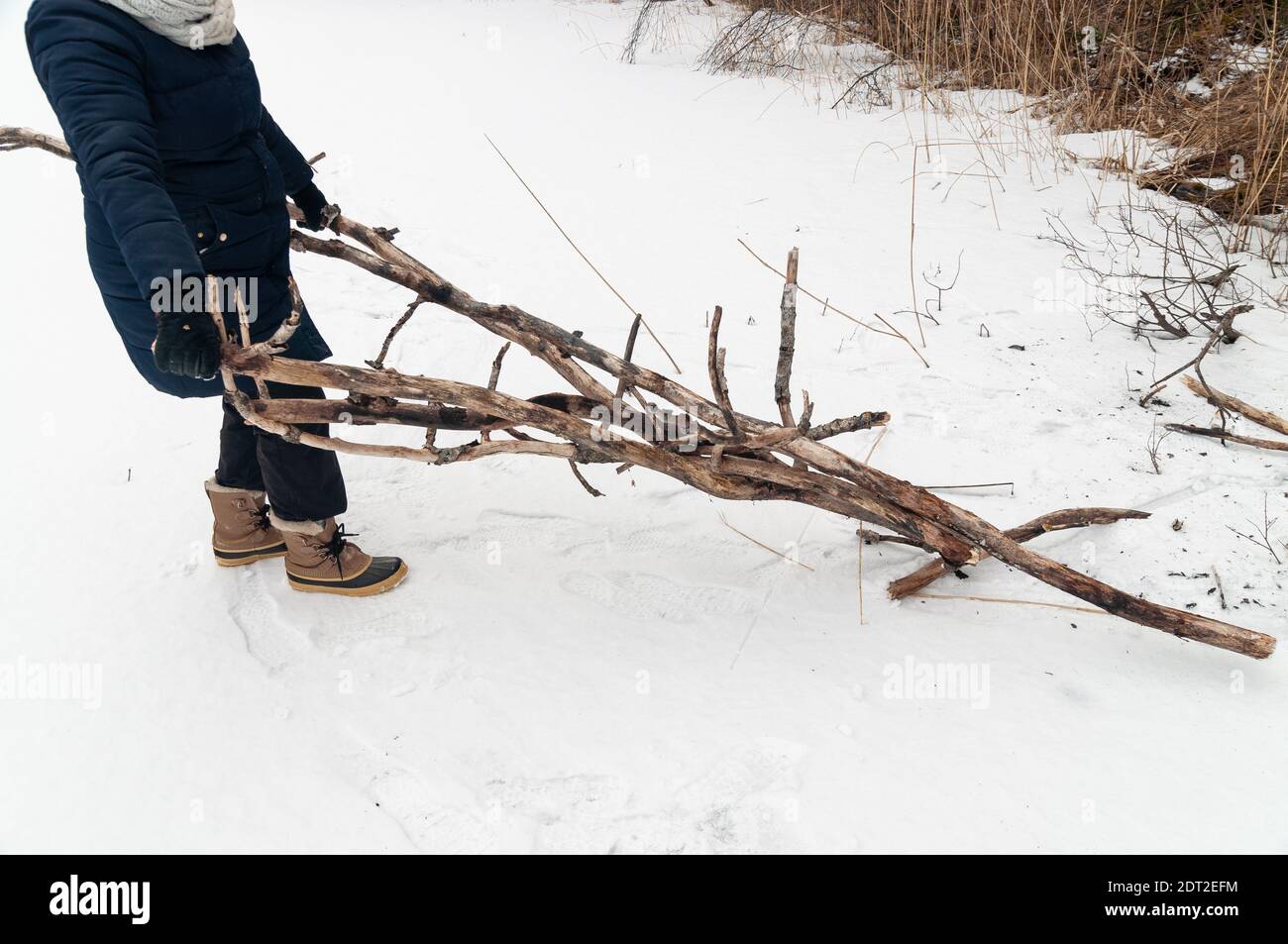 Pulling tree stump hi-res stock photography and images - Alamy