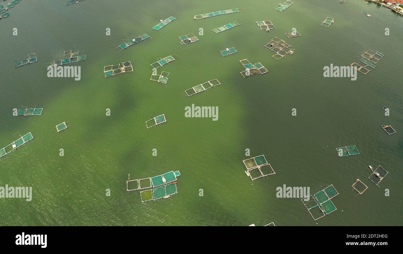 Aerial view of fish farm with cages for fish and shrimp on the lake ...