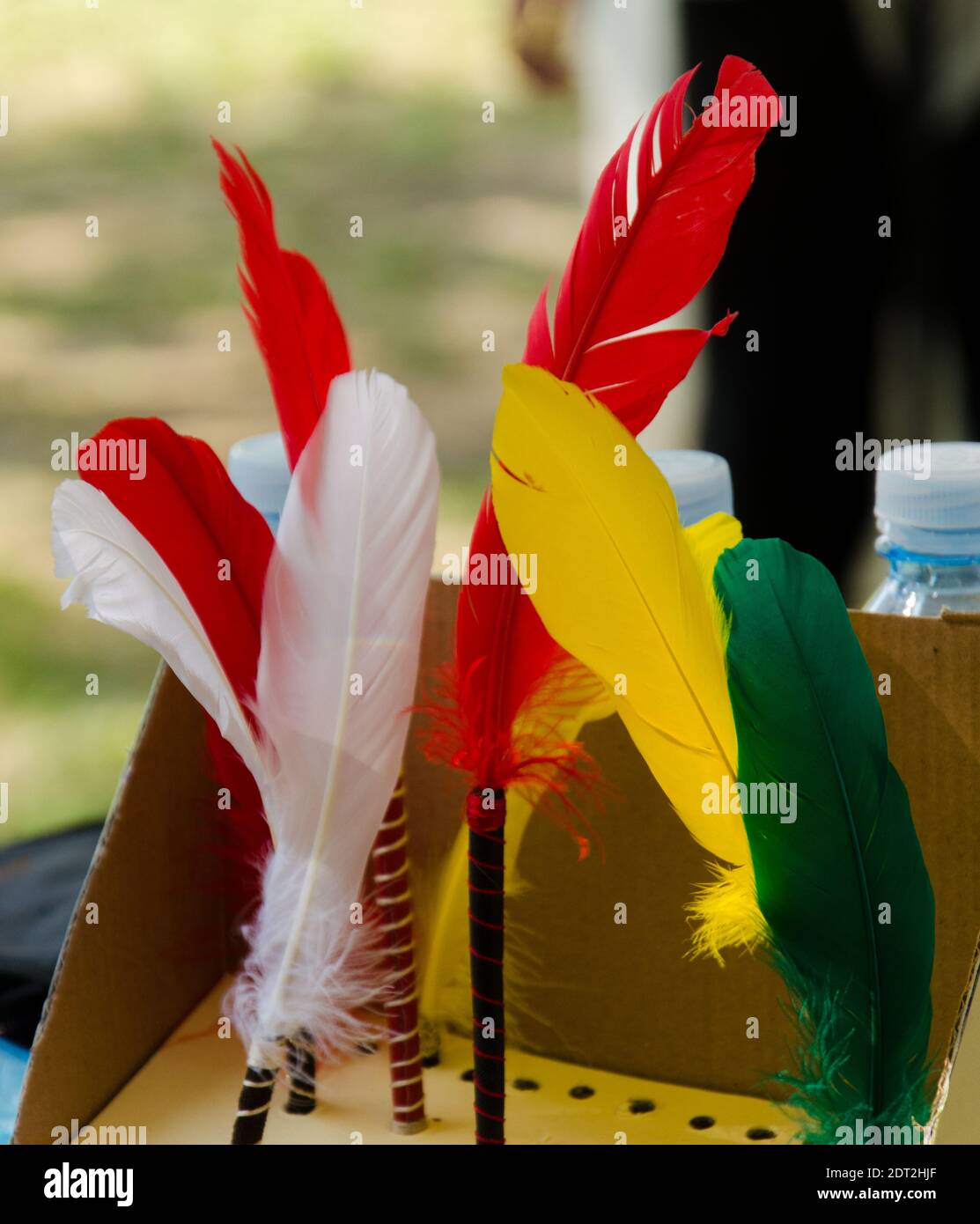 Indian flag feathers hi-res stock photography and images - Alamy