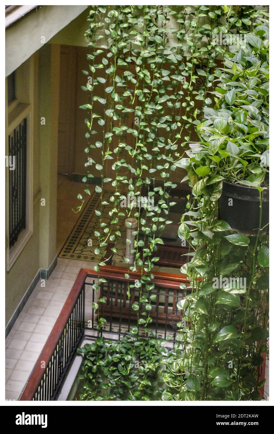 Plants growing building architecture Cut Out Stock Images & Pictures ...