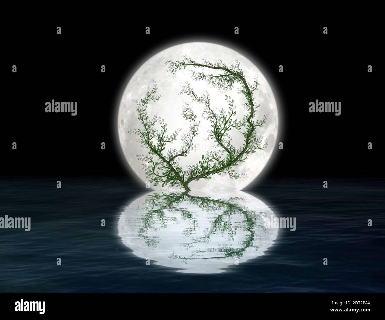 Natural background with trees and full moon in sea reflection Stock ...