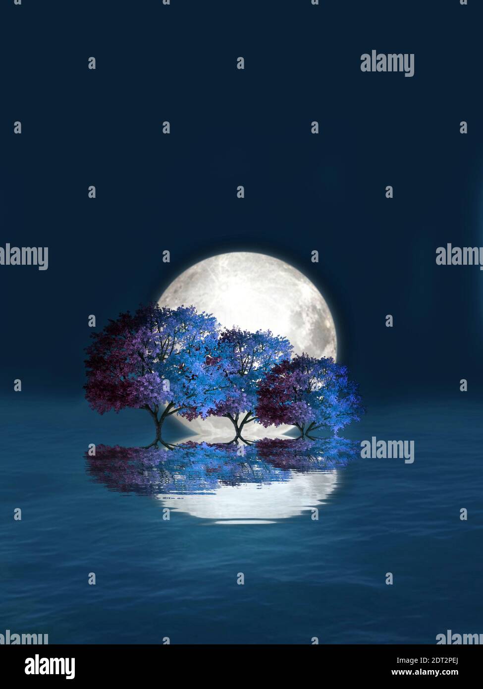 Natural background with trees and full moon in sea reflection Stock ...
