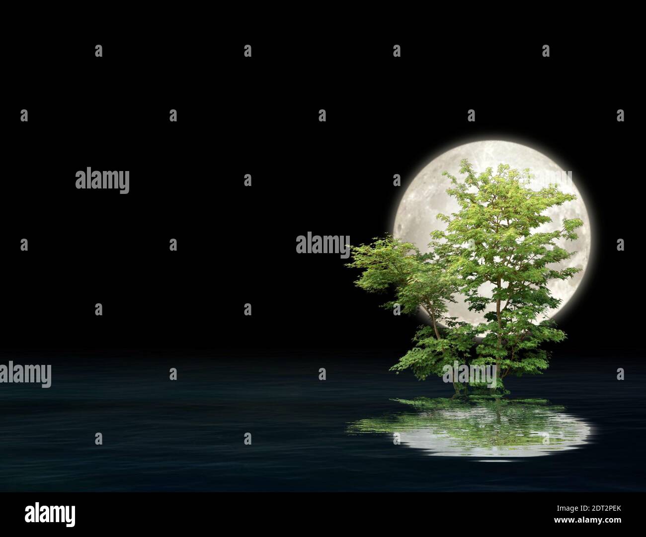 Natural background with trees and full moon in sea reflection Stock ...