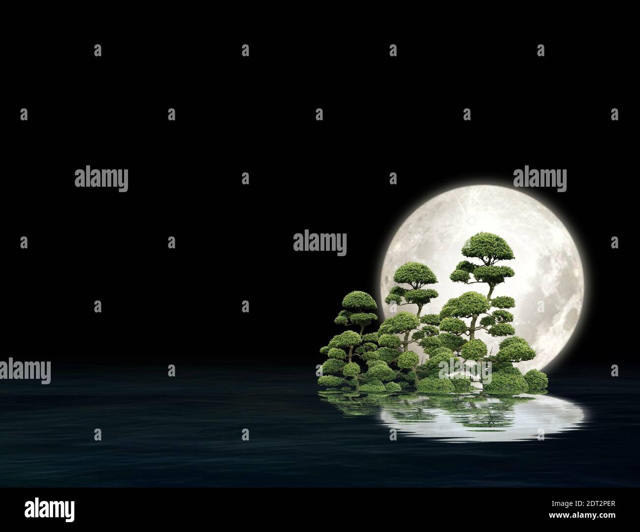 Natural background with trees and full moon in sea reflection Stock ...