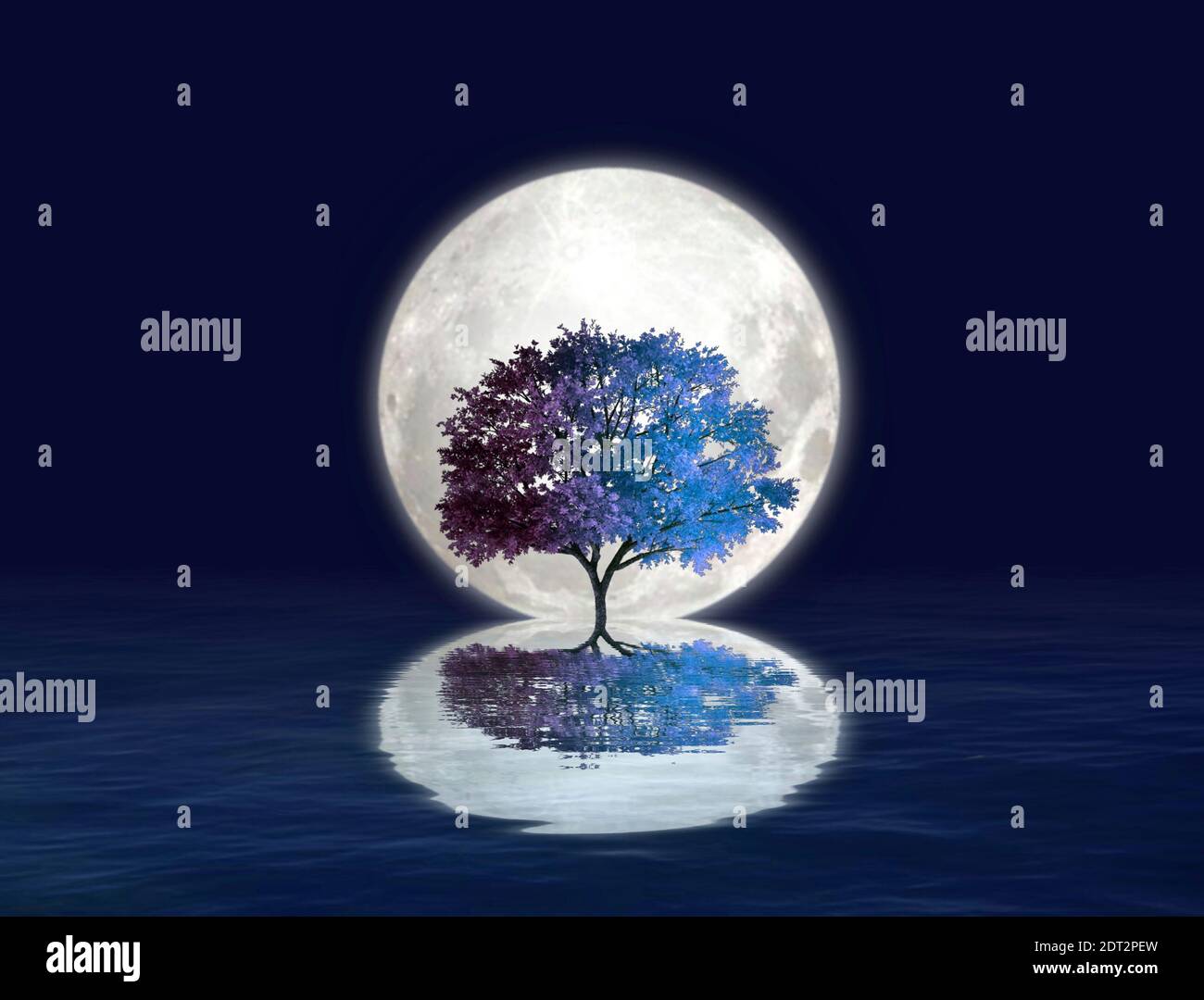 Natural background with trees and full moon in sea reflection Stock ...