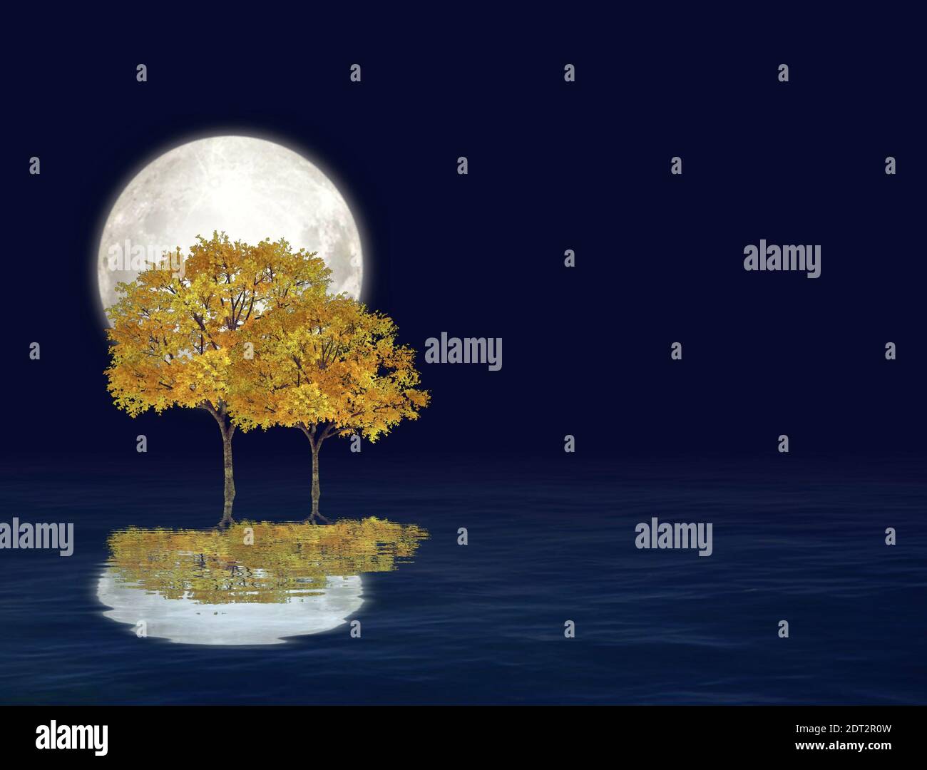 Natural background with trees and full moon in sea reflection Stock ...