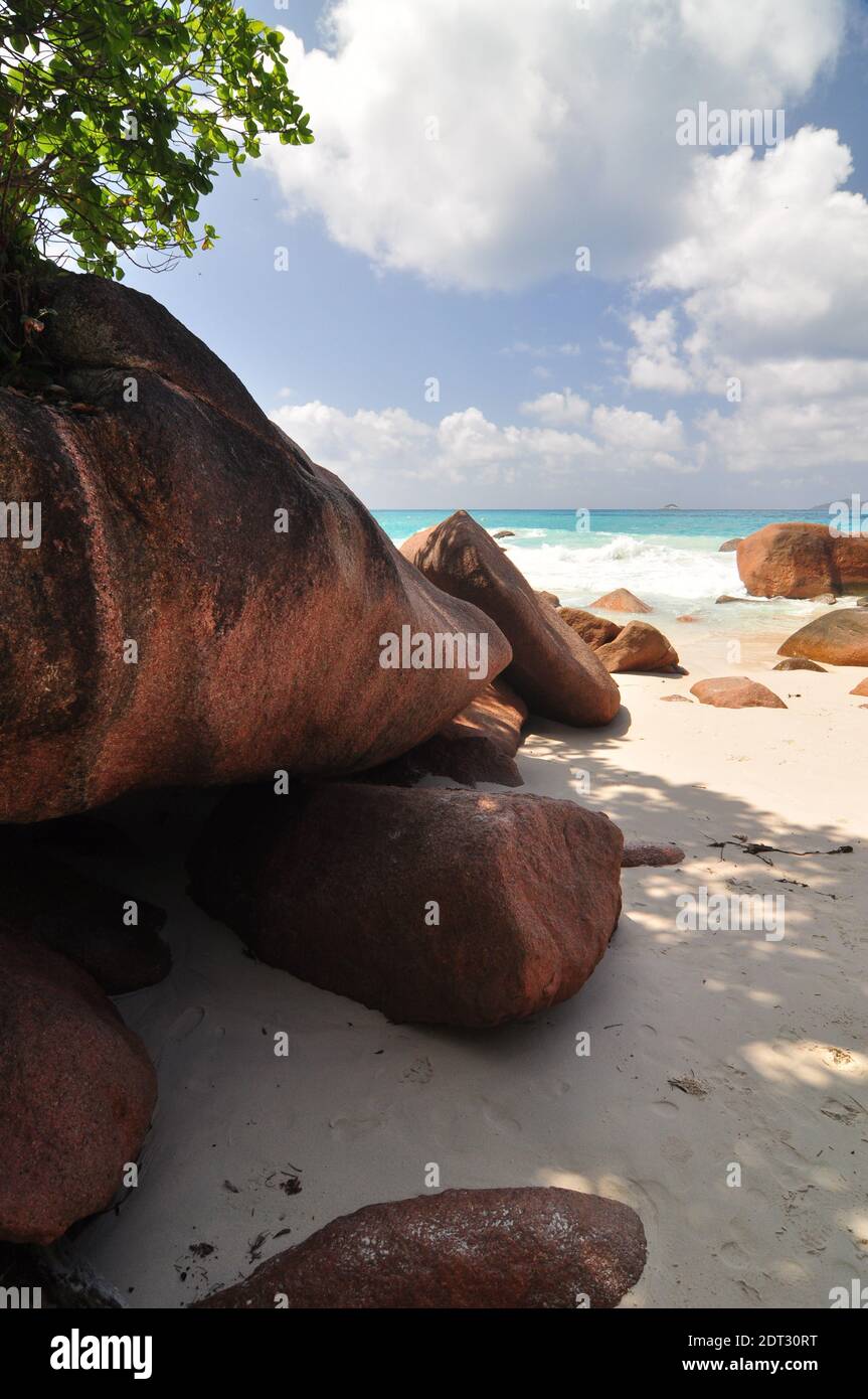 Exotic beach with palm trees in praslin island, seychelles Stock Photo ...