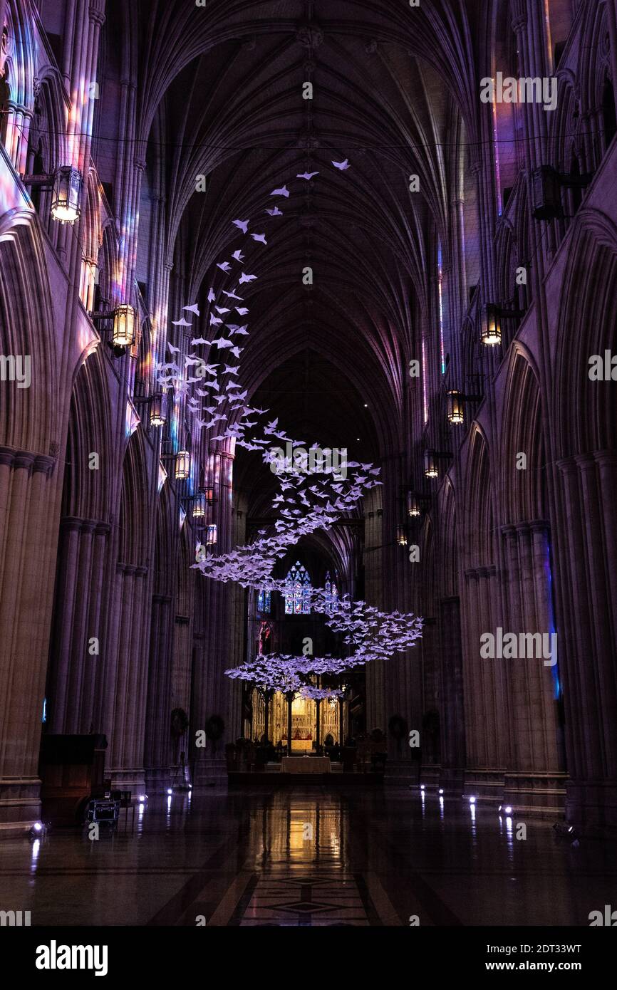 Washington, United States. 21st Dec, 2020. The "Les Colombes" art ...