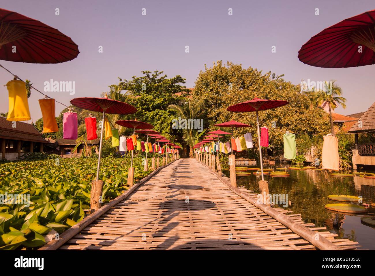 Mai Lin High Resolution Stock Photography and Images - Alamy