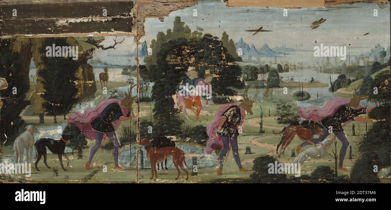 Artist: Jacopo del Sellaio, Italian, Florence, ca. 1441–1498, Actaeon ...