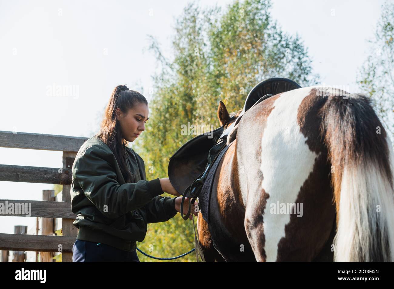 The process of saddling a horse is demonstrated by a young instructor a ...
