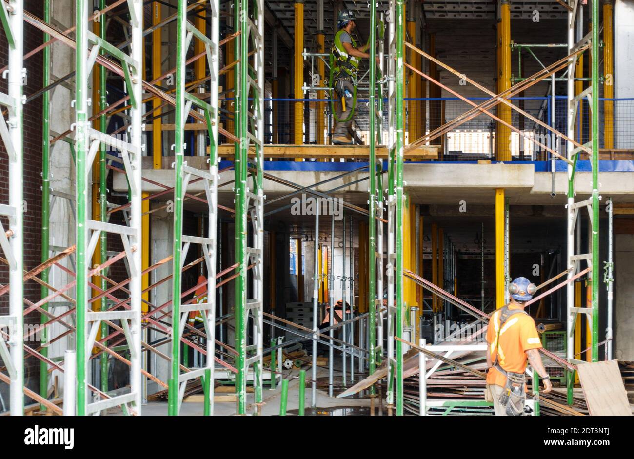 Professional engineer worker at the house building construction site ...