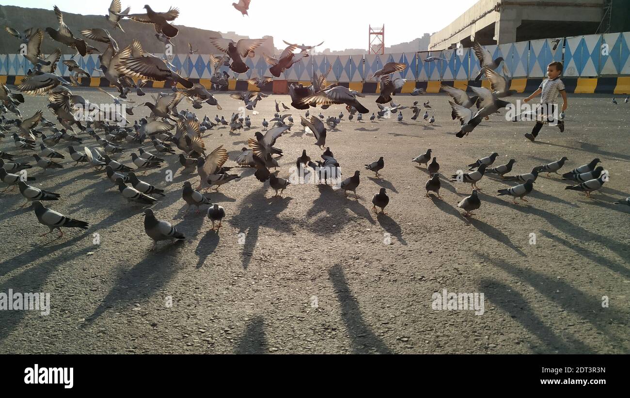Boy Running At Pigeons High Resolution Stock Photography and Images - Alamy