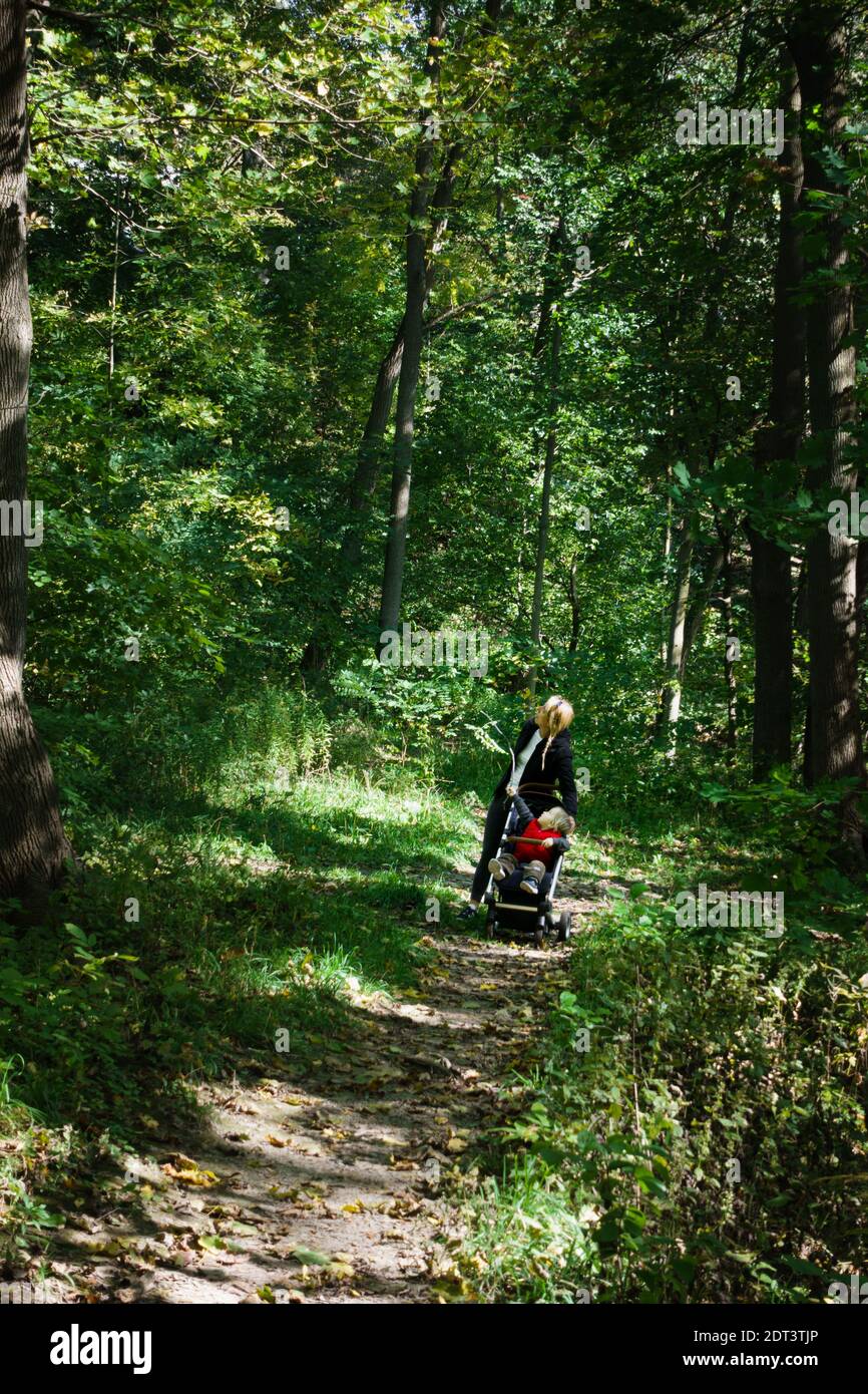 Boy pointing over the tree with her mother at forest trail Stock Photo ...