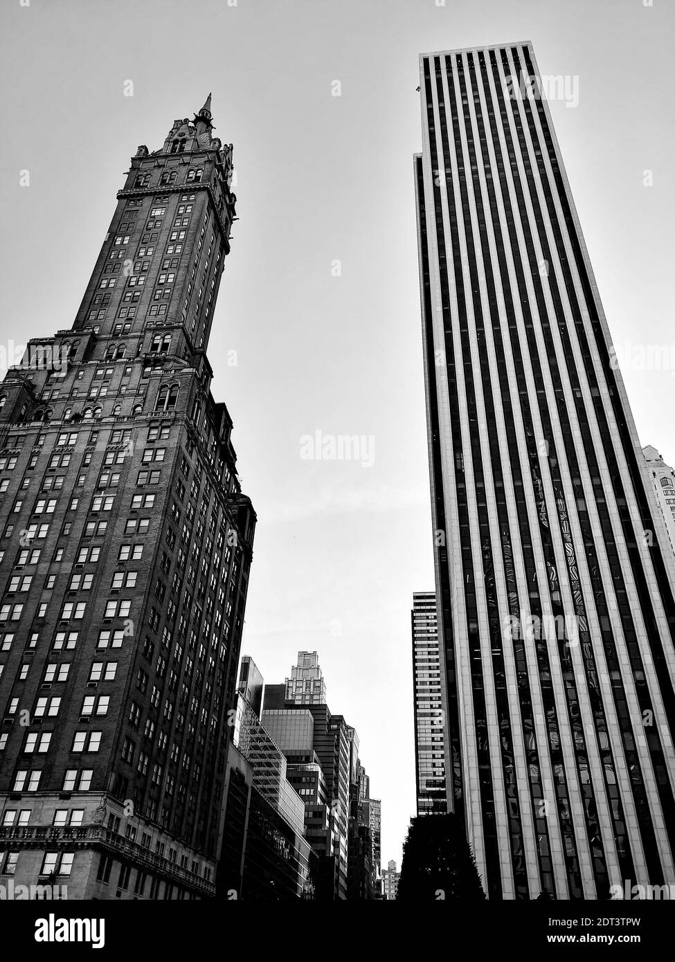 Pulitzer building new york city hi-res stock photography and images - Alamy