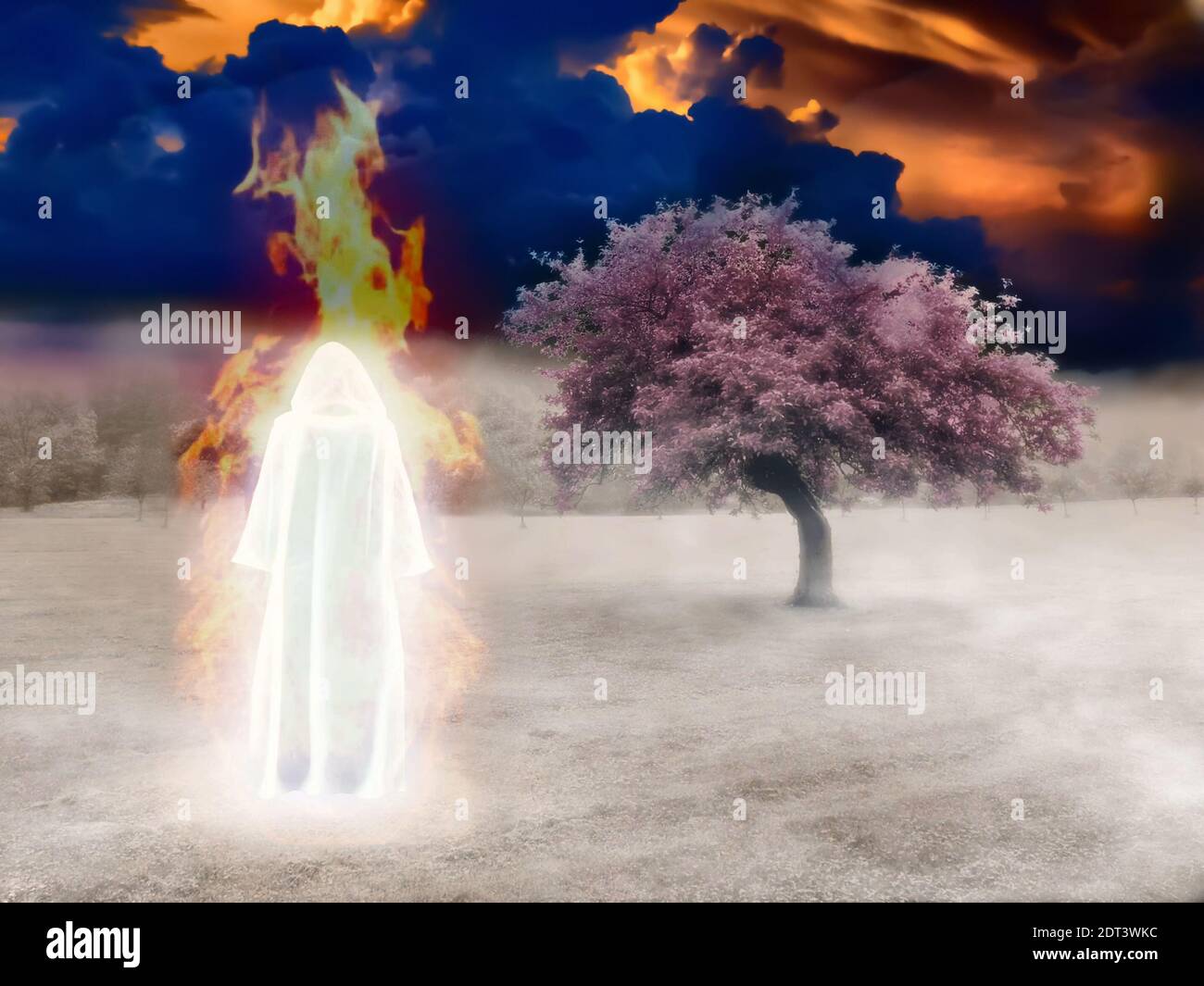 Burning hooded figure in surreal landscape. Pink tree. 3D rendering ...