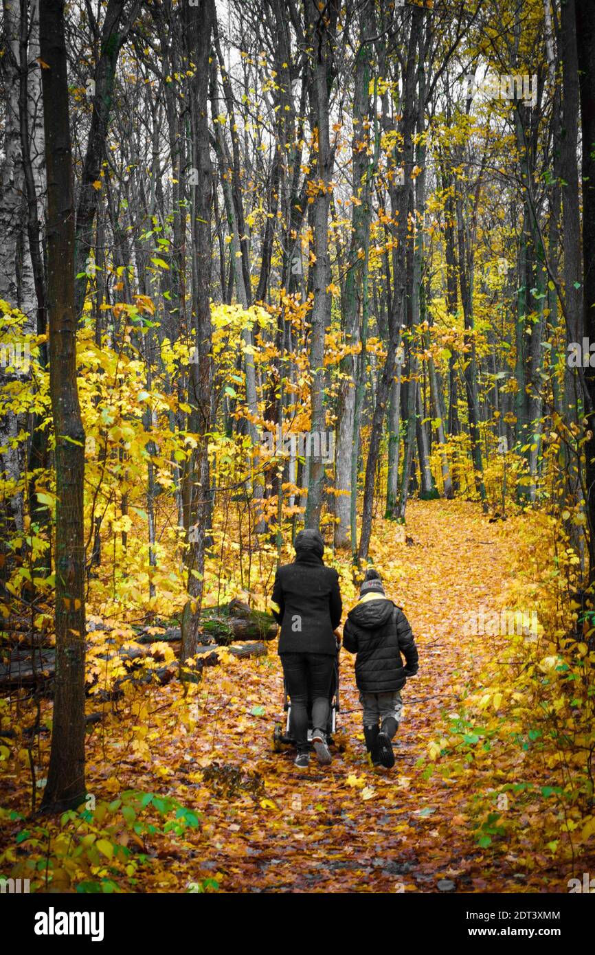 Rear view of family walking on autumn leaves Stock Photo - Alamy