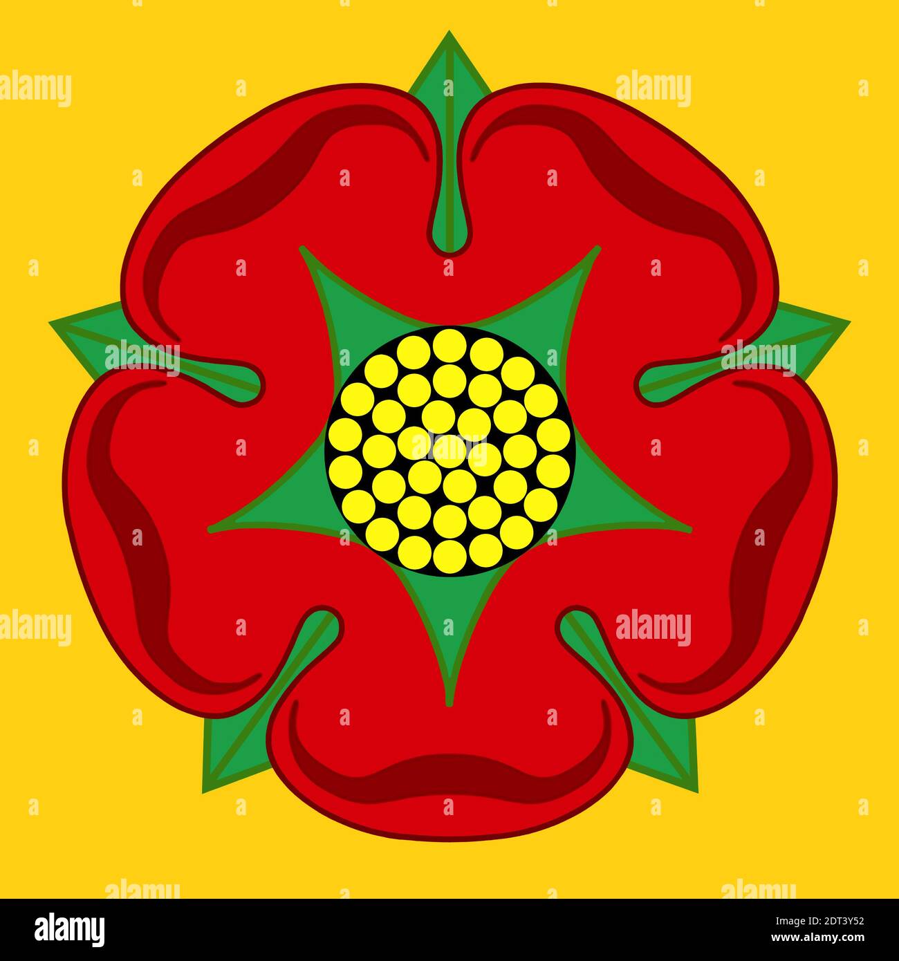 Red rose of lancaster hi-res stock photography and images - Alamy