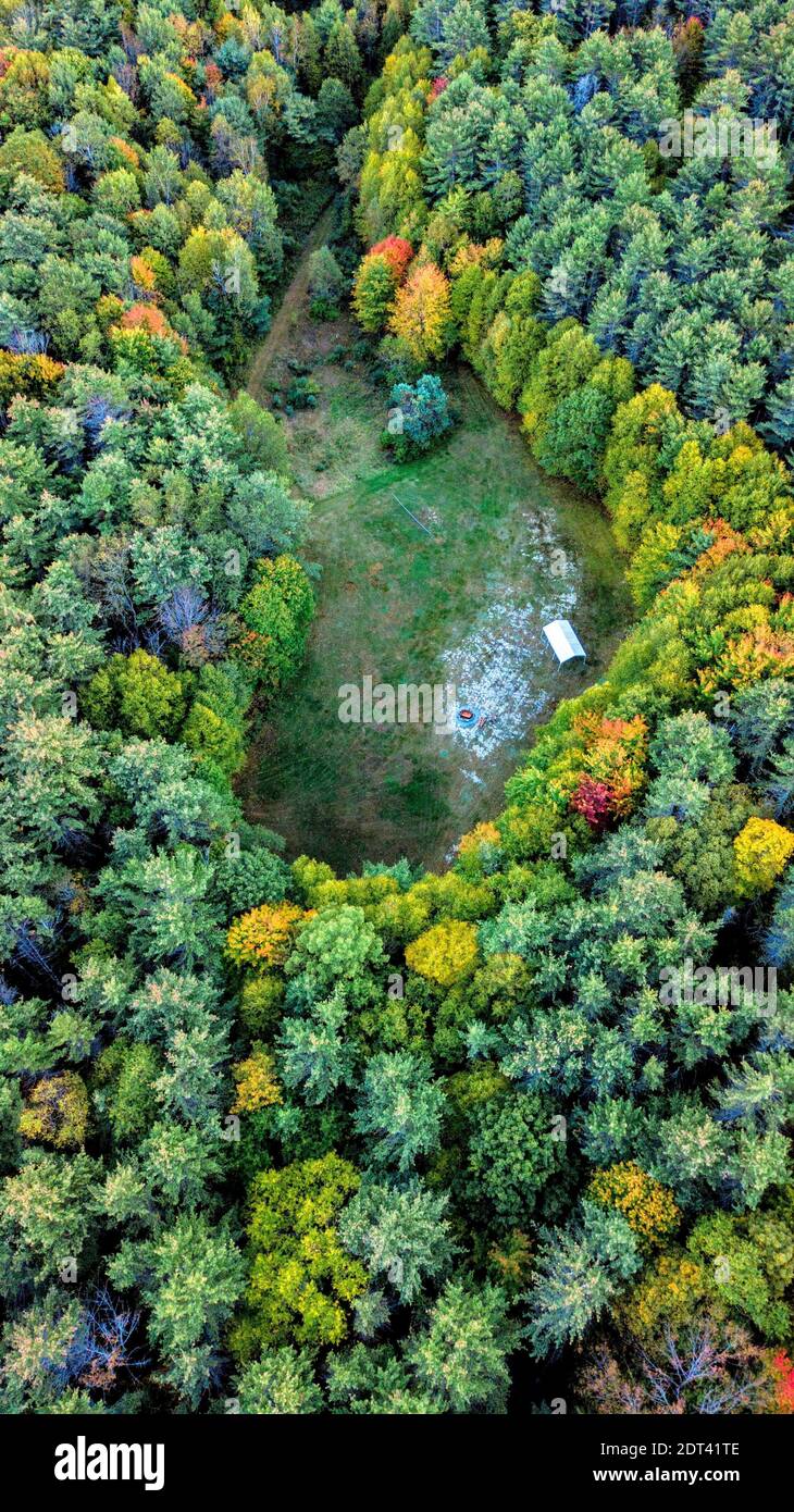 Rainforest clearing field hi-res stock photography and images - Alamy