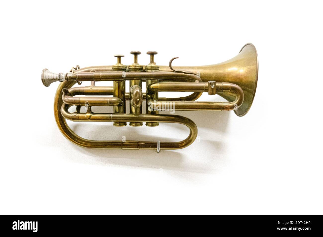 Trumpet shadow hi-res stock photography and images - Alamy