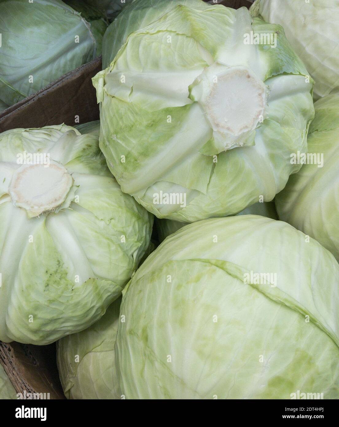 Cabbages pile hi-res stock photography and images - Alamy