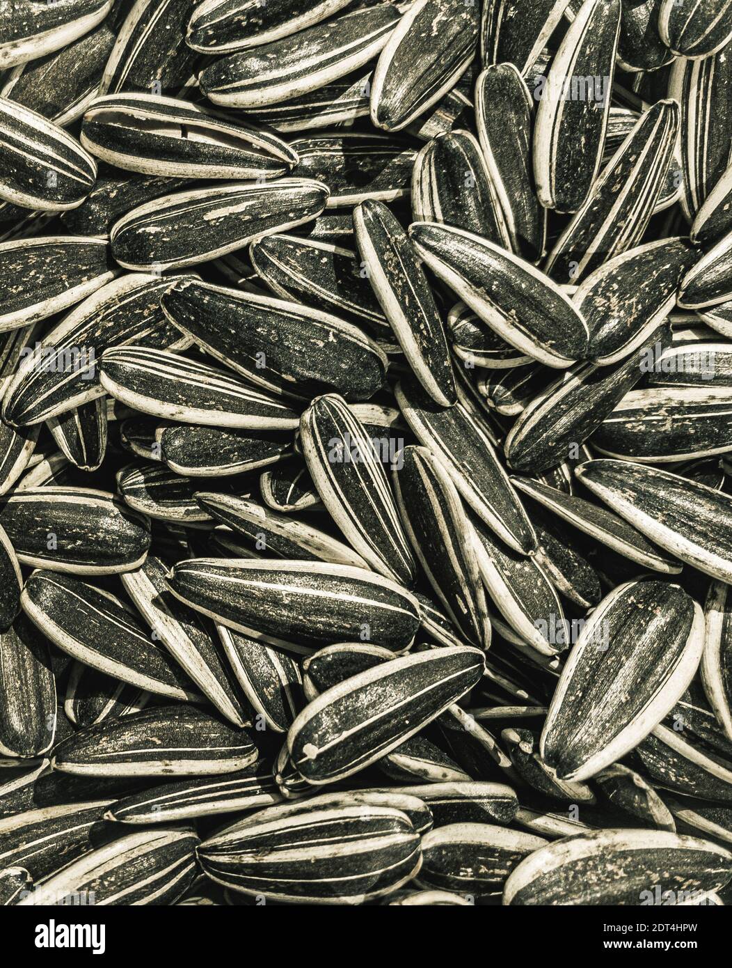 Striped seeds hi-res stock photography and images - Alamy