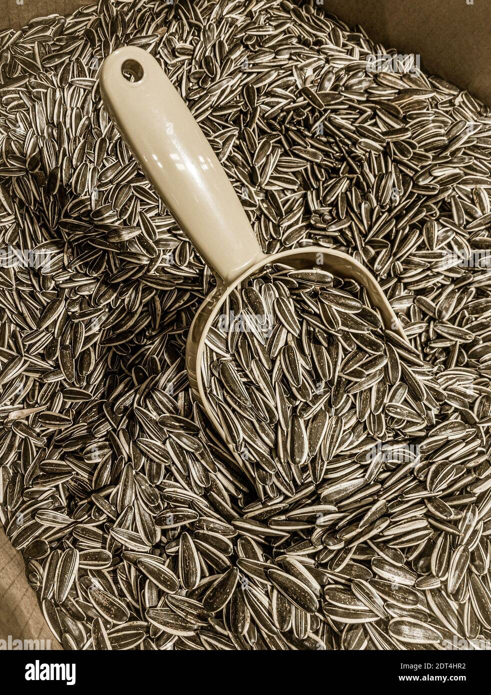 sunflower seeds and scoop at market Stock Photo - Alamy