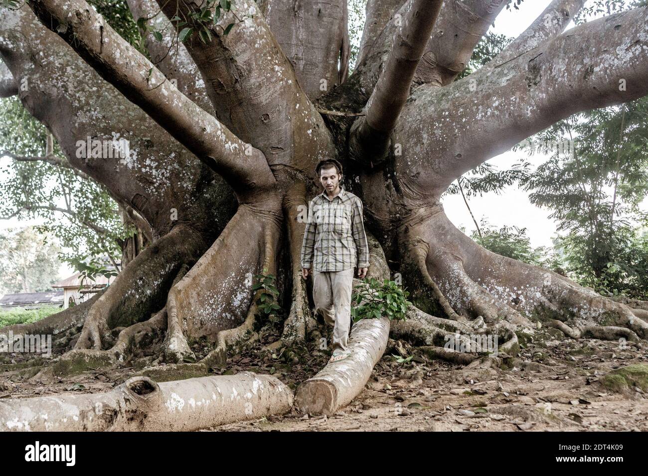 Fig leaf man hi-res stock photography and images - Alamy