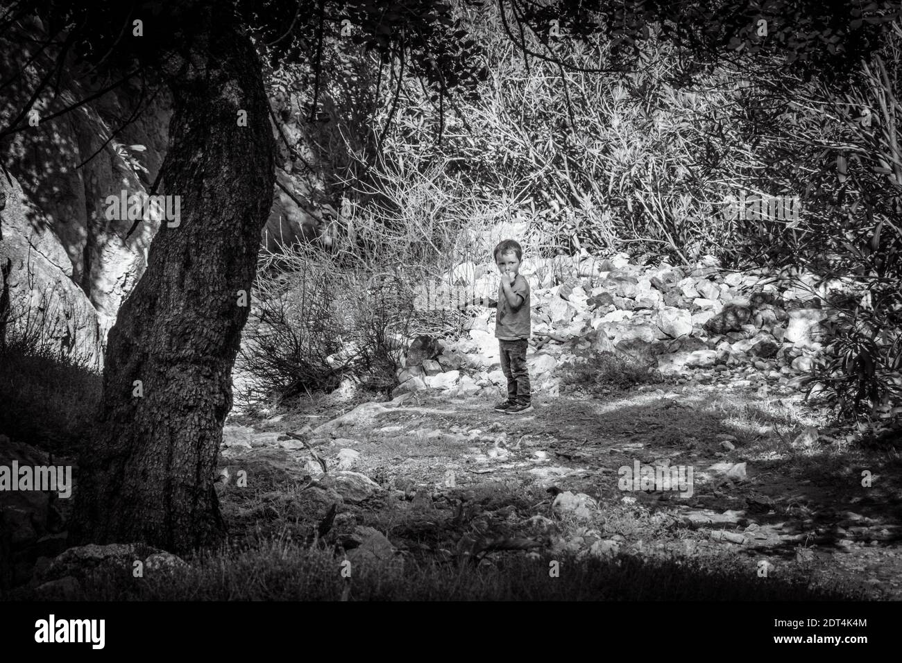 Boy standing in forest hi-res stock photography and images - Alamy