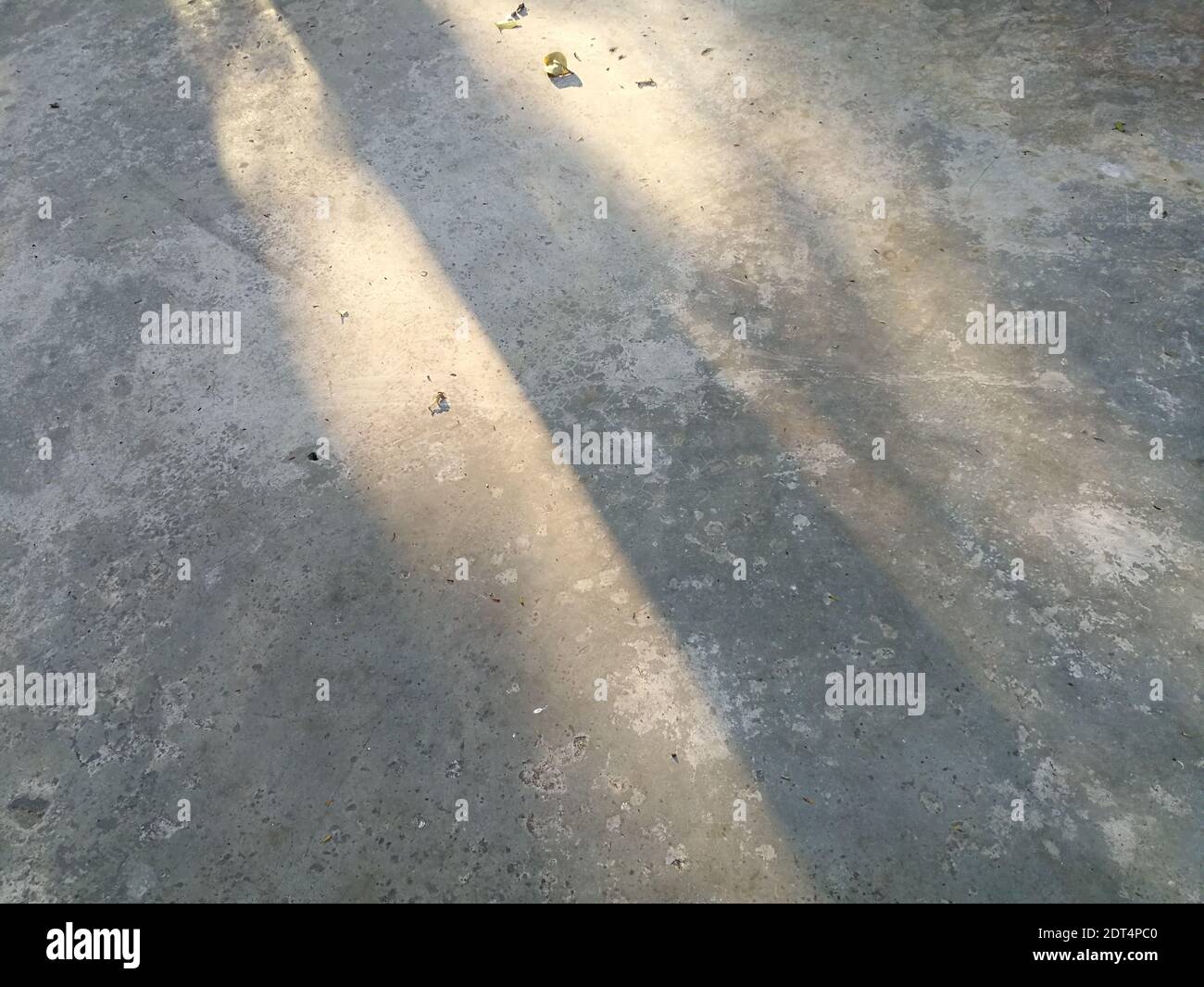 Tree Shadow On Cement Ground Stock Photo - Alamy