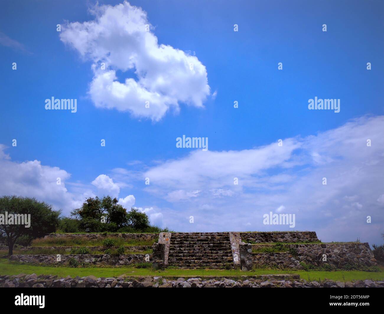 Nopalera hi-res stock photography and images - Alamy