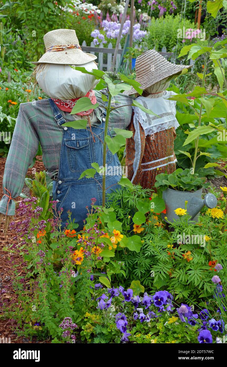 Real Scarecrow High Resolution Stock Photography and Images - Alamy