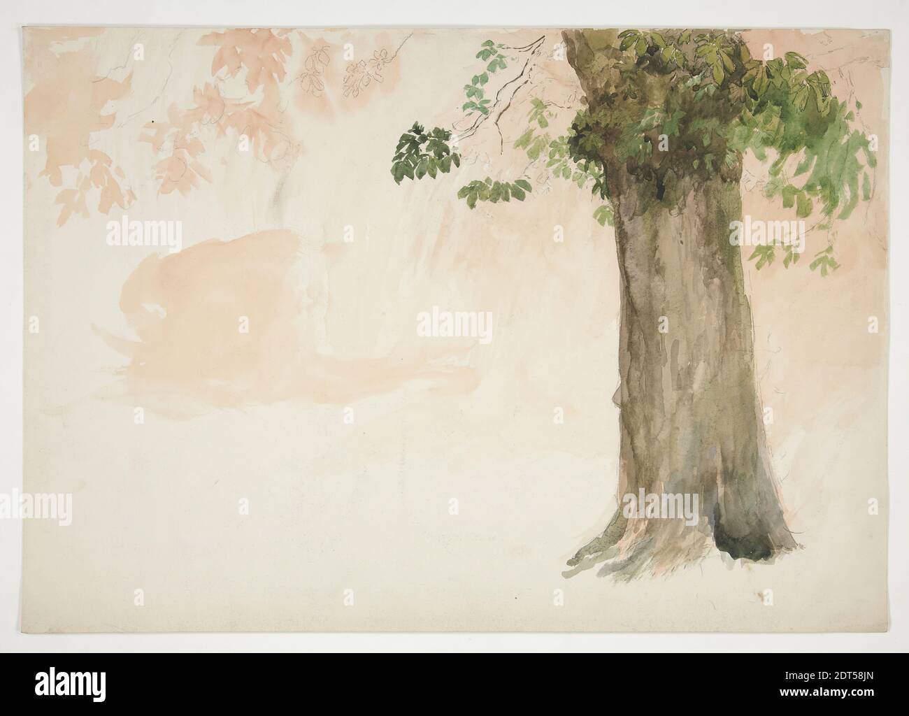 Watercolor Tree Trunk