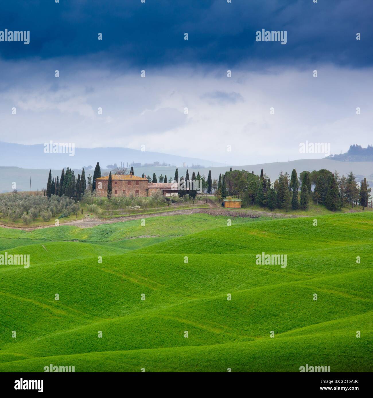Typical Tuscan landscape in Italy Stock Photo - Alamy