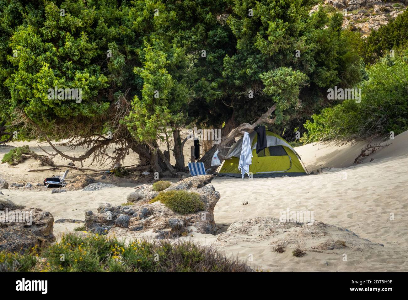 Tent under tree at beach Stock Photo - Alamy