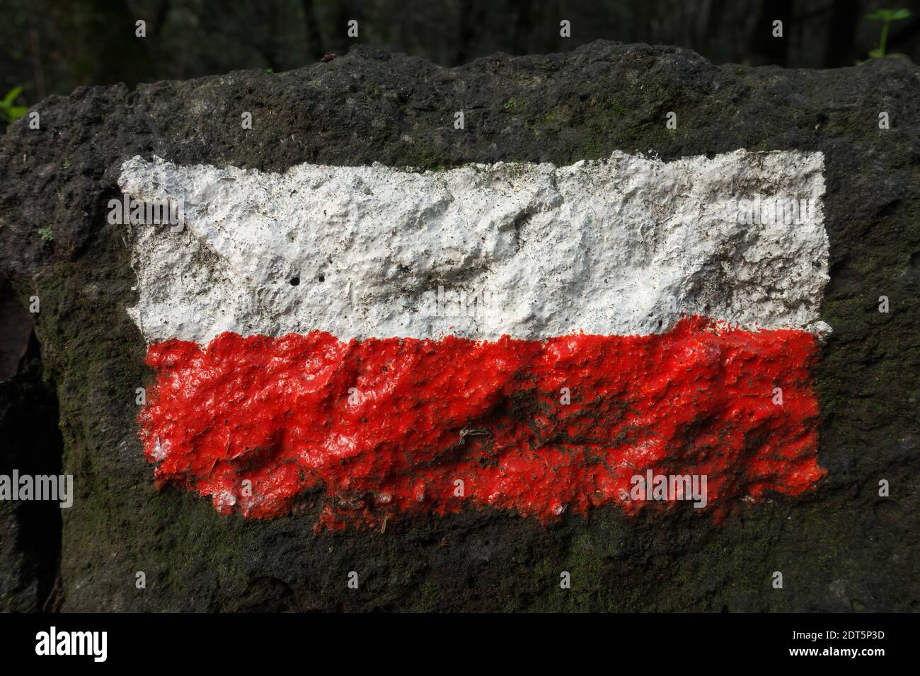 red and white stripes trail mark in Etna Park a landmark of Sicily ...