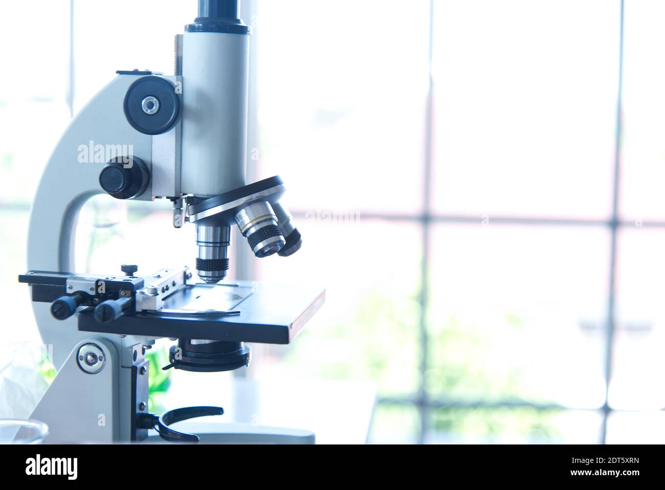 Hand microscope coin hi-res stock photography and images - Alamy