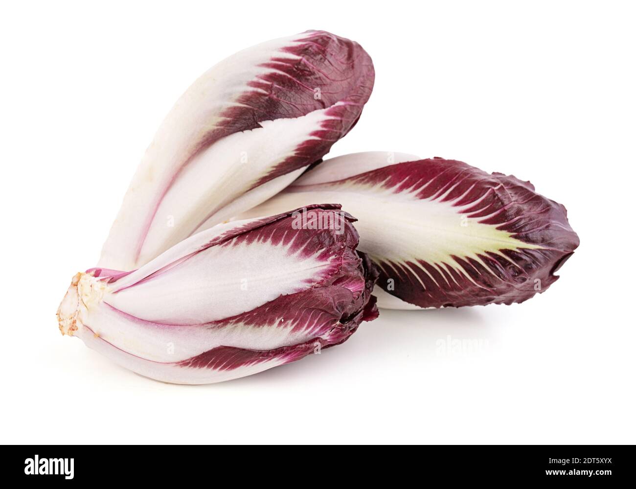 group of isolated red endive on a white background Stock Photo - Alamy