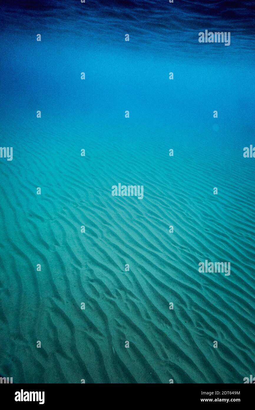 Underwater view of blue sea with rippled sand Stock Photo - Alamy