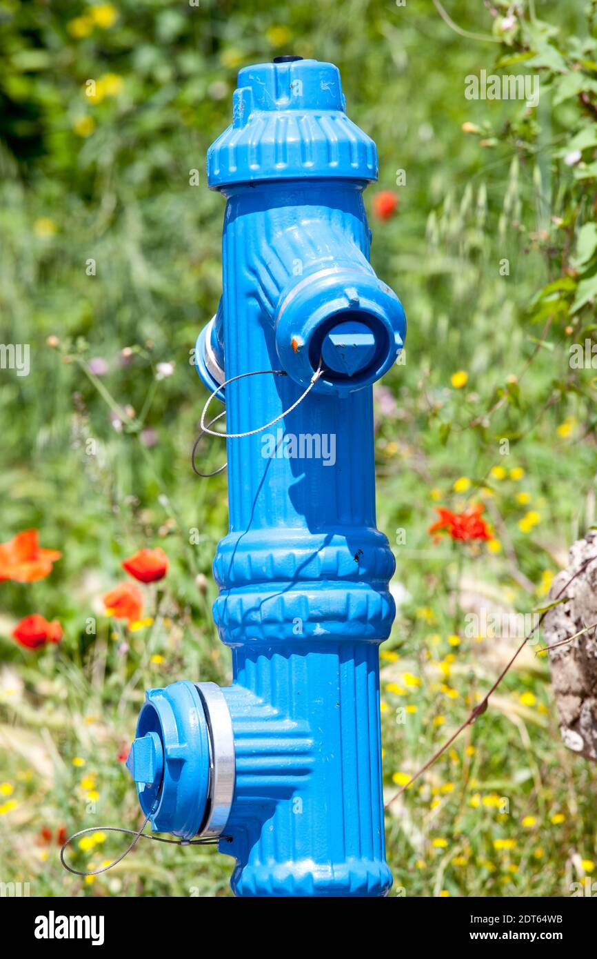 blue fire hydrant in nature Stock Photo - Alamy