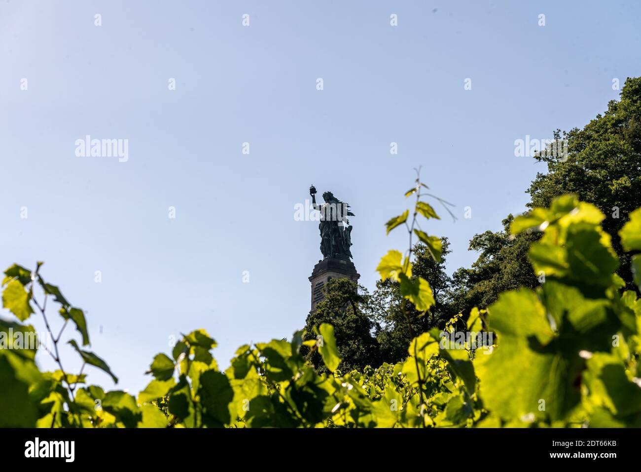 view on niederwald statue in ruedesheim, rhine valley, germany Stock ...